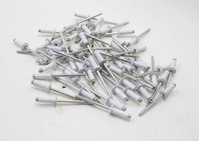 China Solid Rivet Manufacturer for sale