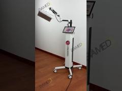 Задняя часть PDT талии подвергает обработку механической обработке света СИД 633nm для морщинок сбрасывает боль