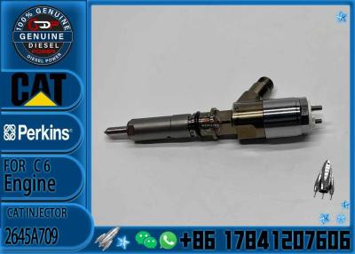Cina 2645A709 C6.6 iniettore common rail 321-0990 321-3600 320-0677 320-0690 10R-7668 10R-7938 10R-7939 321-0990 in vendita