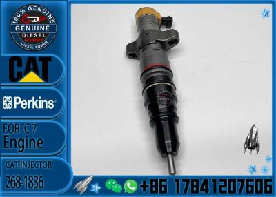 Cina iniettore di carburante CAT 241-3400 243-4502 268-1840 268-1836 293-4071 295-1411 293-4573 10R-4763 20R-8059 20R-8057 in vendita