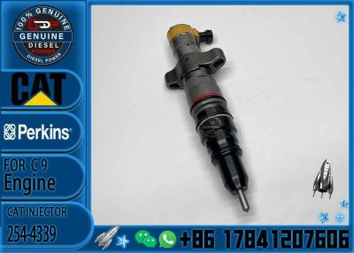 China Diesel Fuel Injector 254-4339 387-9432 387-9436 225-0117 328-2578 328-2580 267-9710 for Caterpillar CAT C9 for sale