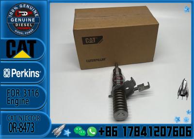 Cina Iniettore di combustibile comune diesel della ferrovia 127-8216 0R-8682 127-8213 OR-8473 per il CAT 3114 3116 motore di E320B E325B E322B in vendita