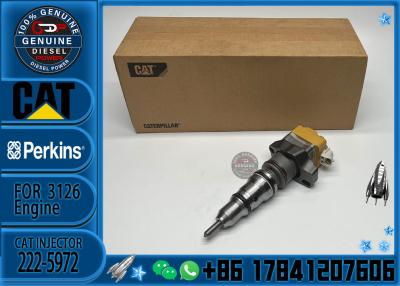 Cina Assemblaggio di iniettore di carburante durevole 222-5972 2225972 198-6877 Per motore CAT Serie 3126 in vendita