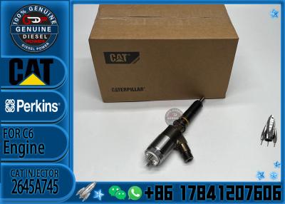 China Inyector de combustible 387-9427 328-2585 295-1411 268-1835 263-8218 10R7225 20R1926 Motor C7 3879427 3282585 2951411 2681835 263 en venta