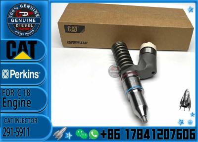 Cina iniettore di carburante CAT 291-5911 10R-0724 10R-9787 10R-7228 10R-2772 10R-7231 in vendita