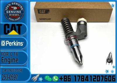China Inyector de combustible diesel 253-0597 253-0616 291-5911 10R-9787 211-3026 276-8307 10R-0724 10R-9787 en venta