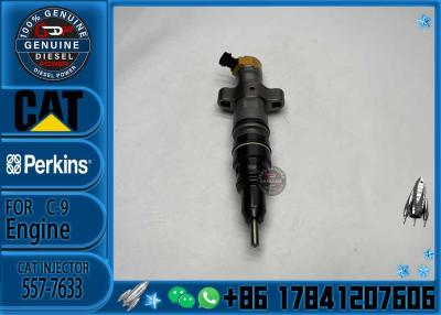 China 20r-8064 20r8064 20r-8968 20r8968 5577633 557-7633 3879433 387-9433 Injetor de combustível 330d 336d D6R C9 Motor para Caterpilla à venda