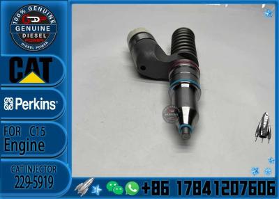 China Injetor de escavadeira 10R1000 10R-1000 2295919 229-5919 para partes do motor C15 à venda