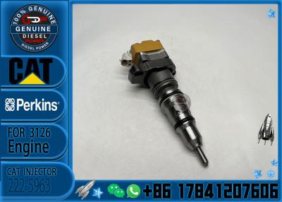 China Peças de escavadeira 3126 Injetor de motor 138-8756 222-5963 222-5972 173-4059 155-1819 Injetor de combustível para escavadeira à venda
