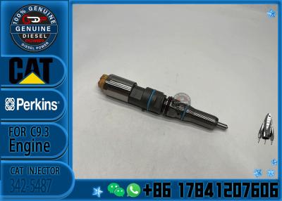 China Partidas de escavadeira c9.3 Injetor de motor 198-7912 460-8213 342-5487 417-3013 304-3637 Injetor de combustível Para escavadeira à venda