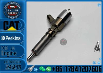 Cina Nuovo iniettore Common Rail 320-0680 2645A747 2645A709 10R-7671 295-9130 10R-7672 per motori diesel CAT in vendita