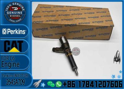 China Dieselmotor-Einspritzdüse 282-0490 2645A709 für 321D-Baggermotor Diesel C6.6 C6.4 C4.2 Einspritzdüse zu verkaufen