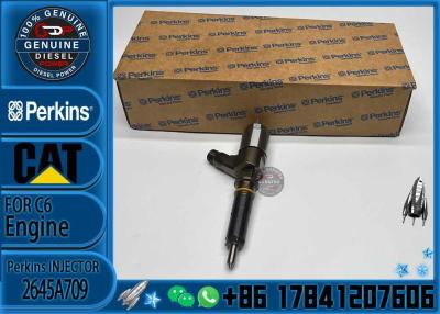 China Dieselmotor-Einspritzdüse 282-0490 2645A709 für 321D-Baggermotor Diesel C6.6 C6.4 C4.2 Einspritzdüse zu verkaufen