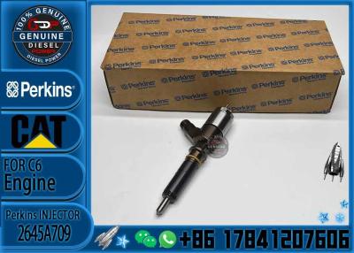 China Dieselmotor-Einspritzdüse 282-0490 2645A709 für 321D-Baggermotor Diesel C6.6 C6.4 C4.2 Einspritzdüse zu verkaufen