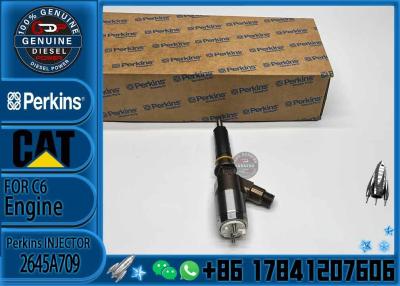 China Dieselmotor-Einspritzdüse 282-0490 2645A709 für 321D-Baggermotor Diesel C6.6 C6.4 C4.2 Einspritzdüse zu verkaufen