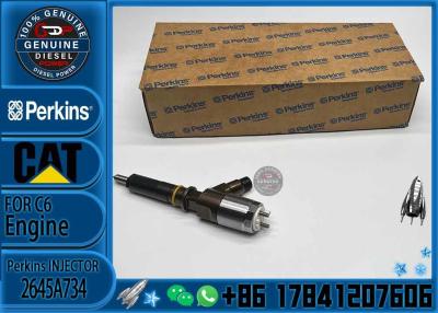 China CAT C6.6 injector 306-9380 2645A734 Injectiepijp 282-0490 2645A709 VOOR E312D E313D E320D E321D injectorassemblage Te koop