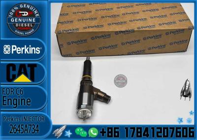 China CAT C6.6 injector 306-9380 2645A734 Injectiepijp 282-0490 2645A709 VOOR E312D E313D E320D E321D injectorassemblage Te koop