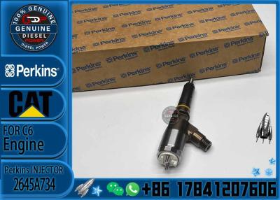 China CAT C6.6 injector 306-9380 2645A734 Injectiepijp 282-0490 2645A709 VOOR E312D E313D E320D E321D injectorassemblage Te koop