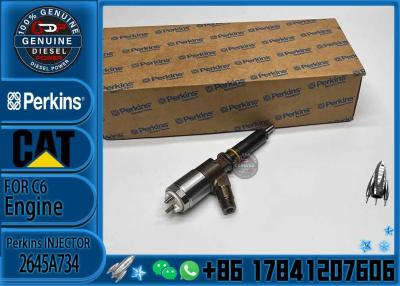 China CAT C6.6 injector 306-9380 2645A734 Injectiepijp 282-0490 2645A709 VOOR E312D E313D E320D E321D injectorassemblage Te koop