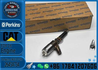 China CAT C6.6 injector 306-9380 2645A734 Injectiepijp 282-0490 2645A709 VOOR E312D E313D E320D E321D injectorassemblage Te koop
