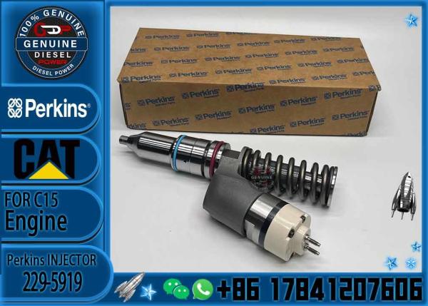 Quality High Quality Diesel Fuel Injector 2295919 Common Rail Injector 229-5919 For for sale