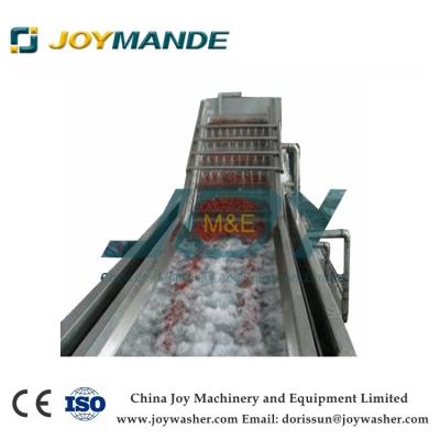 China Good Performance Industrial Cherry Tomato Washing Cleaning Machine Made Of SUS304 for sale