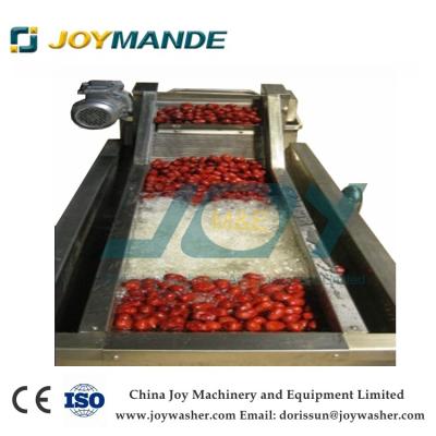 China High Quality Industrial Automatic Cherry Fruit Washing Cleaning Machine Cherry Washer for sale