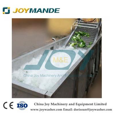 China Industrial Vegetable Cleaning Machine Fruit Washing Machine for sale