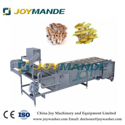 China Industrial Cleaning Machine For Vegetable And Fruit for sale