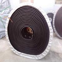 China Flat Flex Conveyor Belt Pattern Type OEM Customizable Modular Conveyor System Components for sale