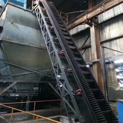 China Skirt Conveyor Belt Adjustable Speed Bulk Material Belt Conveyor Suitable For Industrial Applications for sale