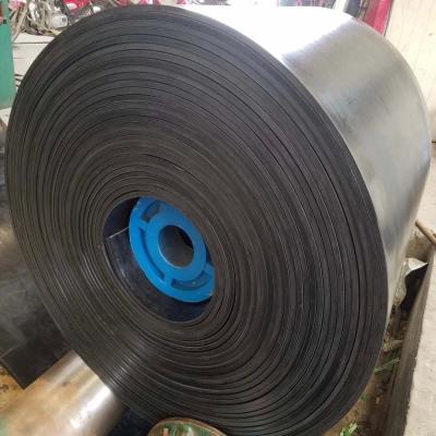 China Premium Quality Steel Cord Bucket Elevator Belt For Cement Crush And Coal Conveyer System for sale