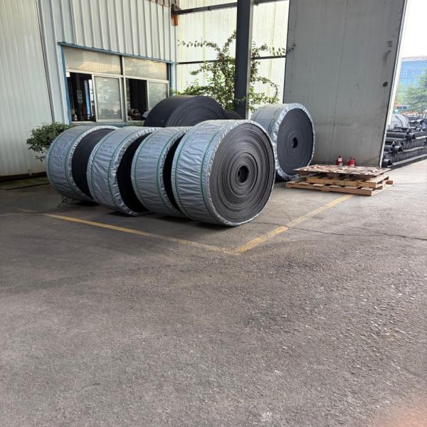 Quality Original Continental Nylon Canvas Conveyor Belt for Industrial Bulk Material for sale
