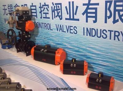 Cina Pinion Double Rack e Pinion Actuator Rotativo in vendita