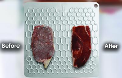 China Defrosting Tray Offer for sale