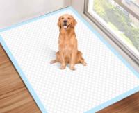 China Lamination Hot Melt PSA Adhesive for Pet Pee Pad Multi-layer Structure 6-Month Shelf Life for sale