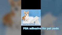 High Performance PSA Adhesive for Pet Training Pads