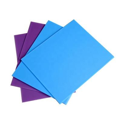 China PP plastic polypropylene correx sheet pp hollow core plastic sheets / board for sale