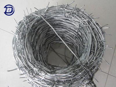 China Cheap Price Galvanized Barbed Wire for sale