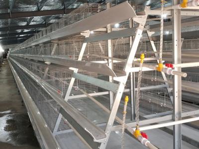 China Battery Cage for sale