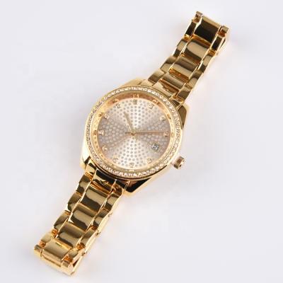 Cina Orologi eleganti di monol per signora con vario colore DWG-R0107 in vendita