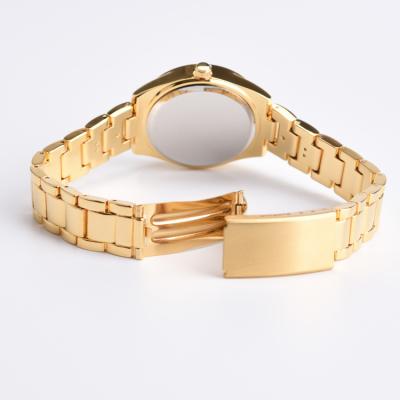 Cina Orologi eleganti di monol per signora con vario colore DWG-R0107 in vendita