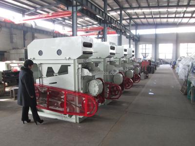 China Functie Professionele STR TQLQ50 Mini Paddy Seed Cleaning Plant Rijst Destoner Machine Te koop