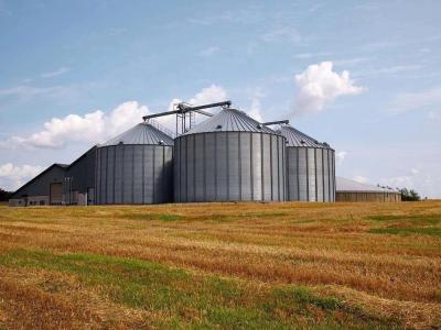 Cina 4000 tonnellate per silo STR 4000T silos di acciaio per lo stoccaggio di grano a fondo piatto adatto a 45 KG in vendita