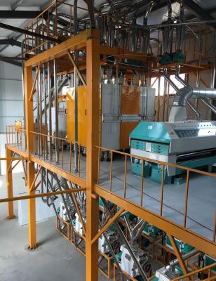 Cina Macchina di triturazione a rulli di mais da 24x8x9m 50TPD per i mulini di farina bianca di grano in India in vendita