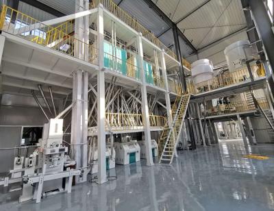 Cina 120 tonnellate per 24 ore macchina automatica per la macinazione del grano di mais e del pane in Bangladesh in vendita