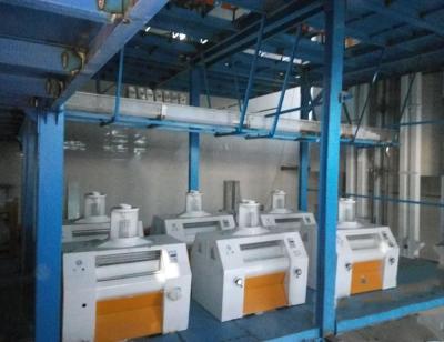 Cina 120 tonnellate per 24 ore macchina automatica per la macinazione del grano di mais e del pane in Bangladesh in vendita