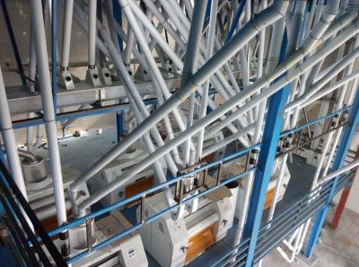 Cina 120 tonnellate per 24 ore macchina automatica per la macinazione del grano di mais e del pane in Bangladesh in vendita