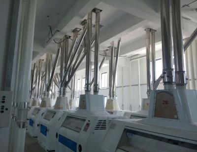Cina 500000 KG impianto di produzione di farina di grano auto mini combinato per macina di grano a prezzi competitivi in vendita