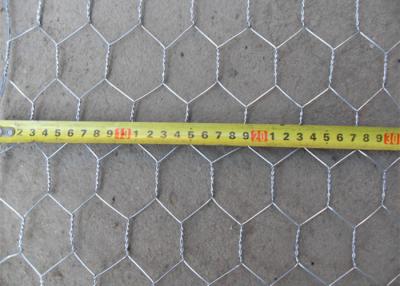 China Largura sextavada de Mesh Fence Q195 0.5m da galinha do HDG para aves domésticas à venda